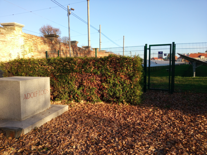 Am Zentralfriedhof herrscht Sonnenstrom-Stimmung - Energieleben