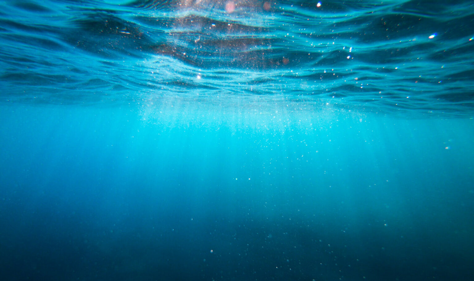 Bio-Erdöl aus der Phytoplankton Farm - Energieleben